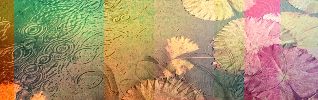 Digital – American Artists Series