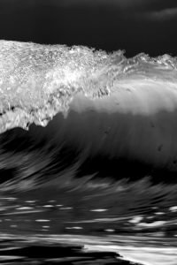 Digital – American Artists Series